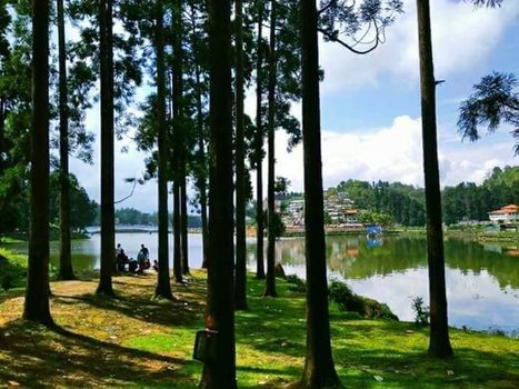 Bunkulung Eco Huts Mirik Darjeeling | Bunkulung Homestay Accommodation ...