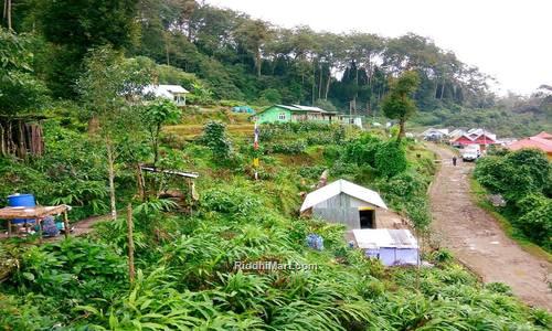 Sillery Gaon Near Kalimpong | Sillery Homestay Accommodation | RiddhiMart